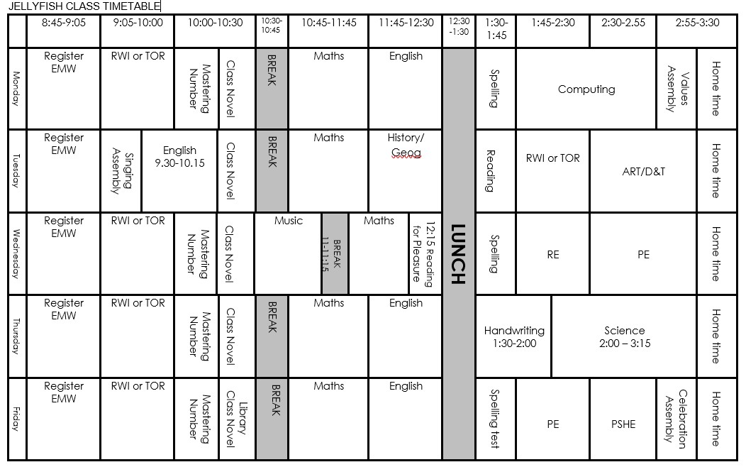 Warden Hill Infant School - Jellyfish Class